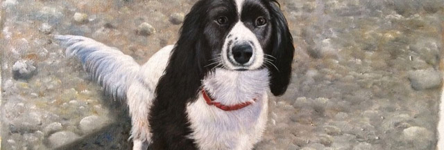 Win a pet portrait from artist David Joseph